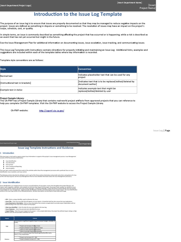 Introduction To The Issue Log Template: (Insert Project Name) | PDF ...