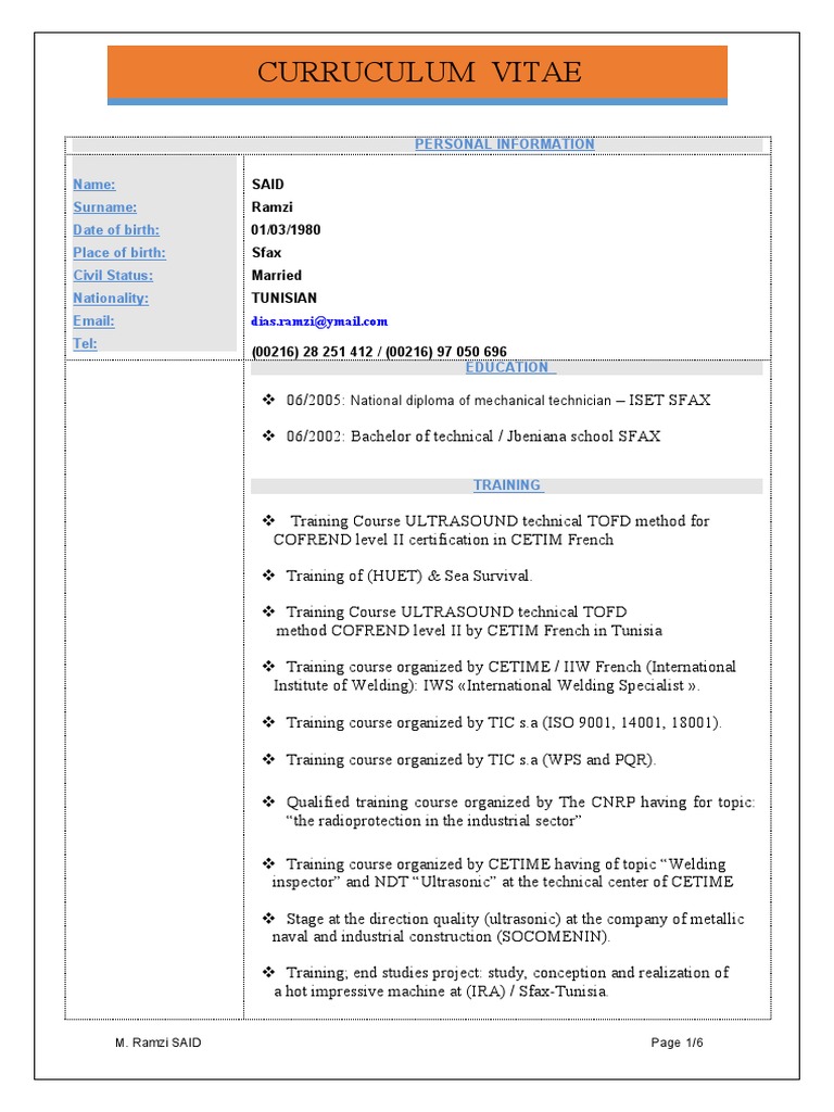 Ramzi SAID CV EN | PDF | Hearing | Ultrasound