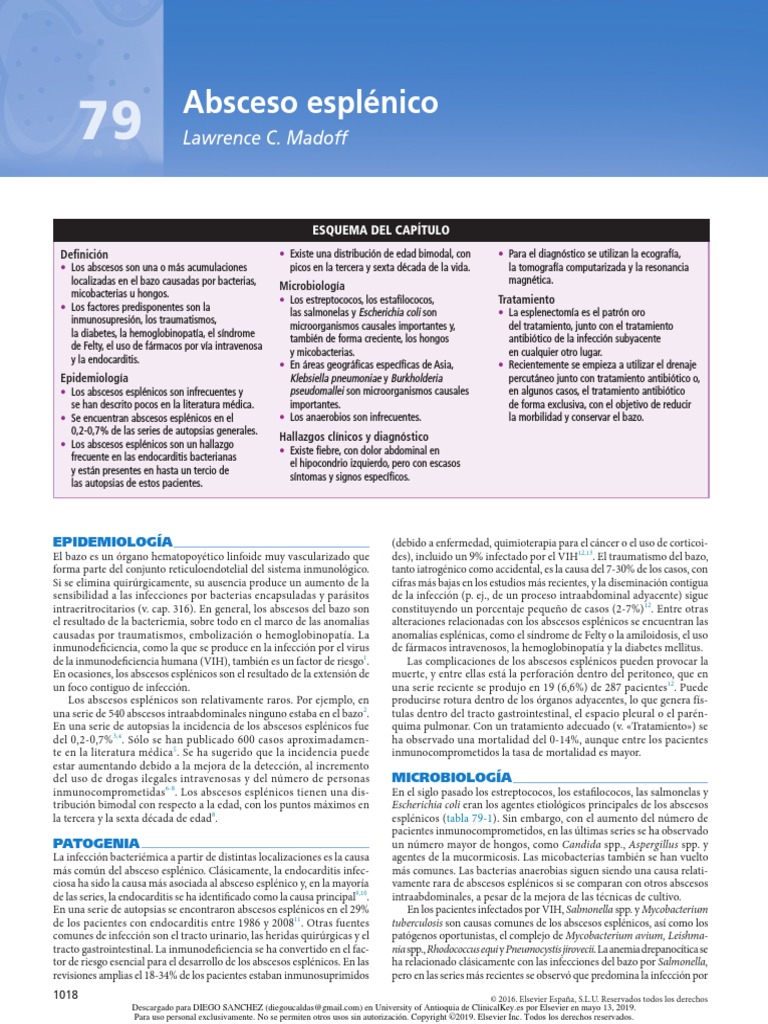 Absceso Esplénico | PDF | Mycobacterium | Infección