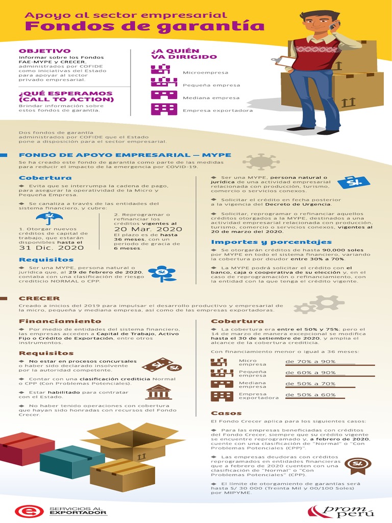 Infografía Mypes | PDF