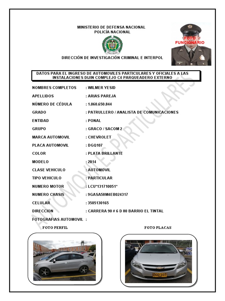 Formato Ejemplo Tramite Ficha Carro | PDF