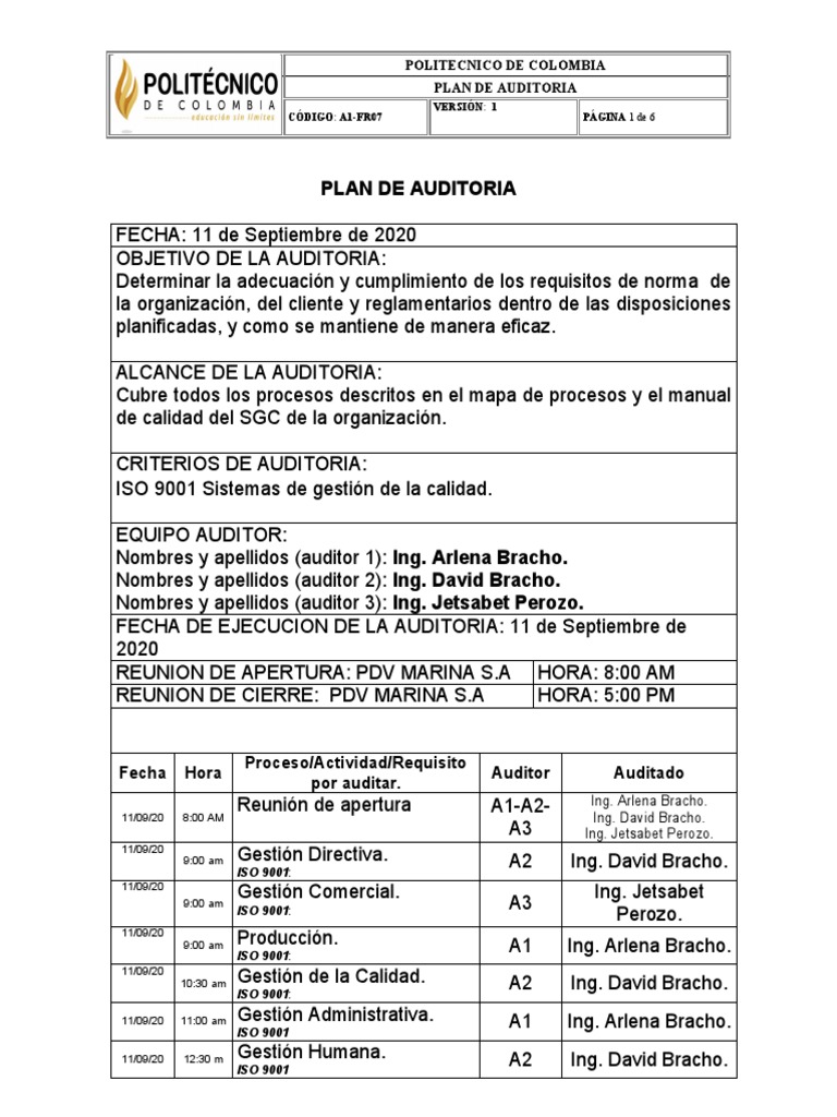 Modelo - Plan de Auditoria | PDF | Gestión de Procesos de Negocio | Auditoría