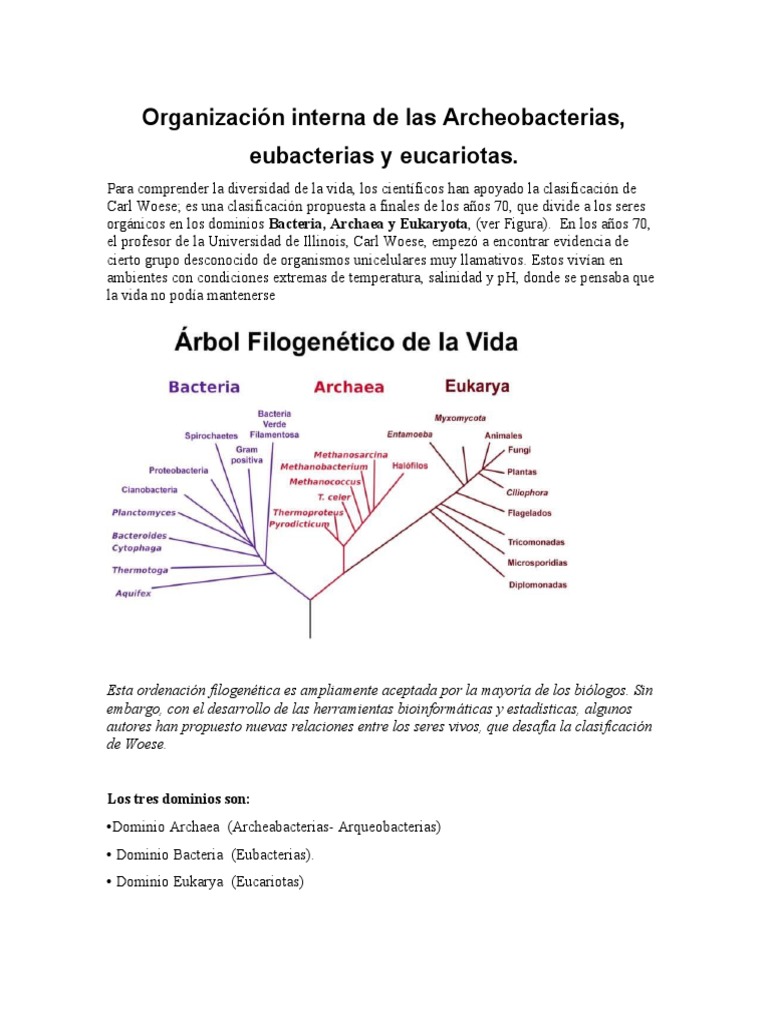 (Para Imprimir) Sistema de Clasificación-Los Tres Dominios | PDF ...