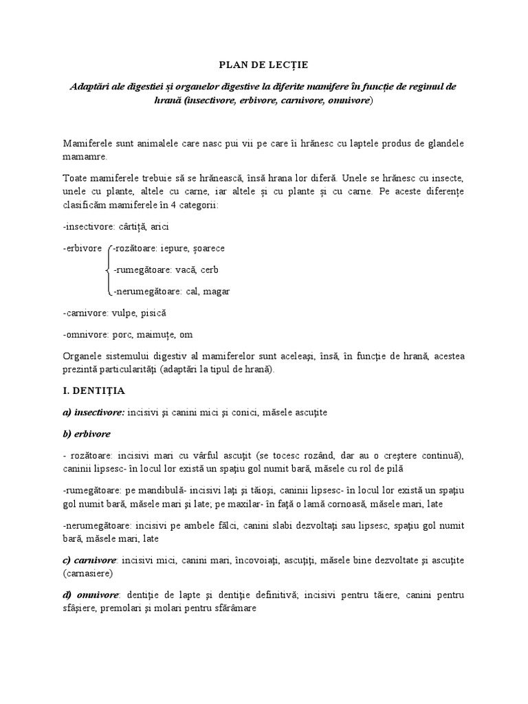 Plan de Lectie | PDF