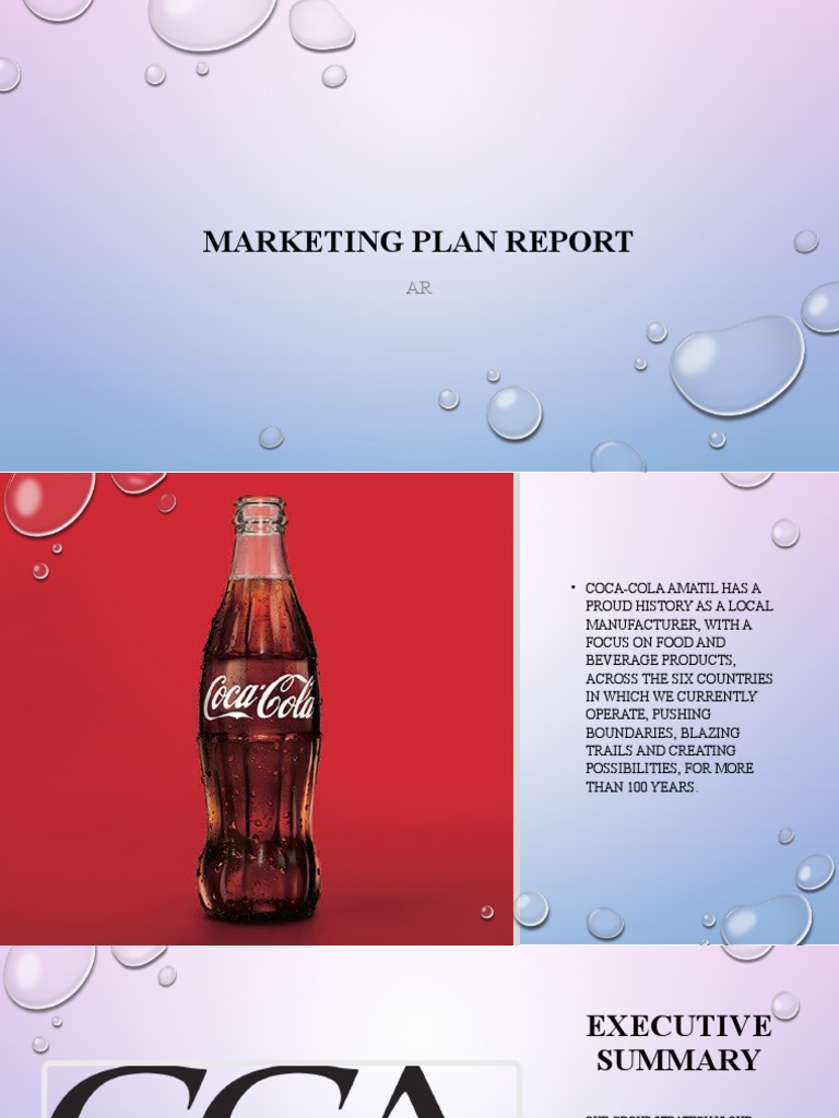 Marketing Plan Report | Download Free PDF | Brand | Marketing