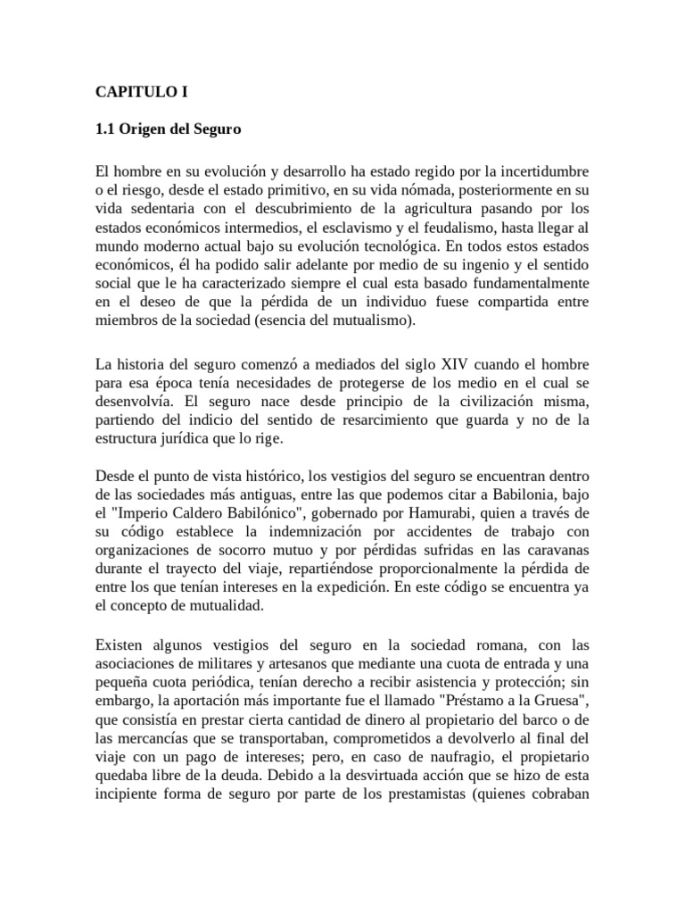 Historia y Principios del Seguro | PDF | Póliza de seguros | Reaseguro