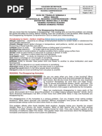 How To Bee by Bren Macdibble | PDF | Adjective