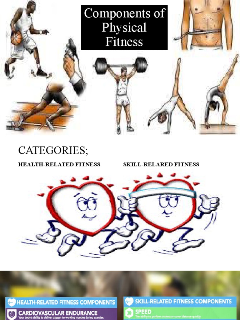 Understanding Body Composition Metrics | PDF | Career & Growth
