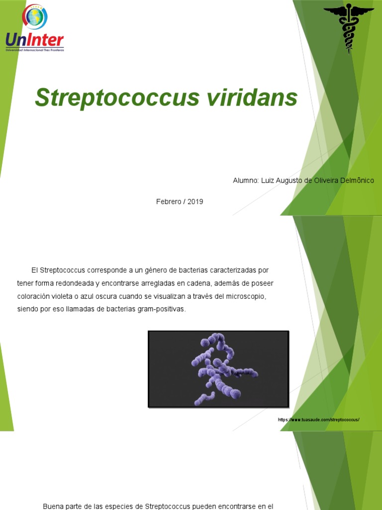 Streptococcus Viridans | PDF | Estreptococo | Penicilina