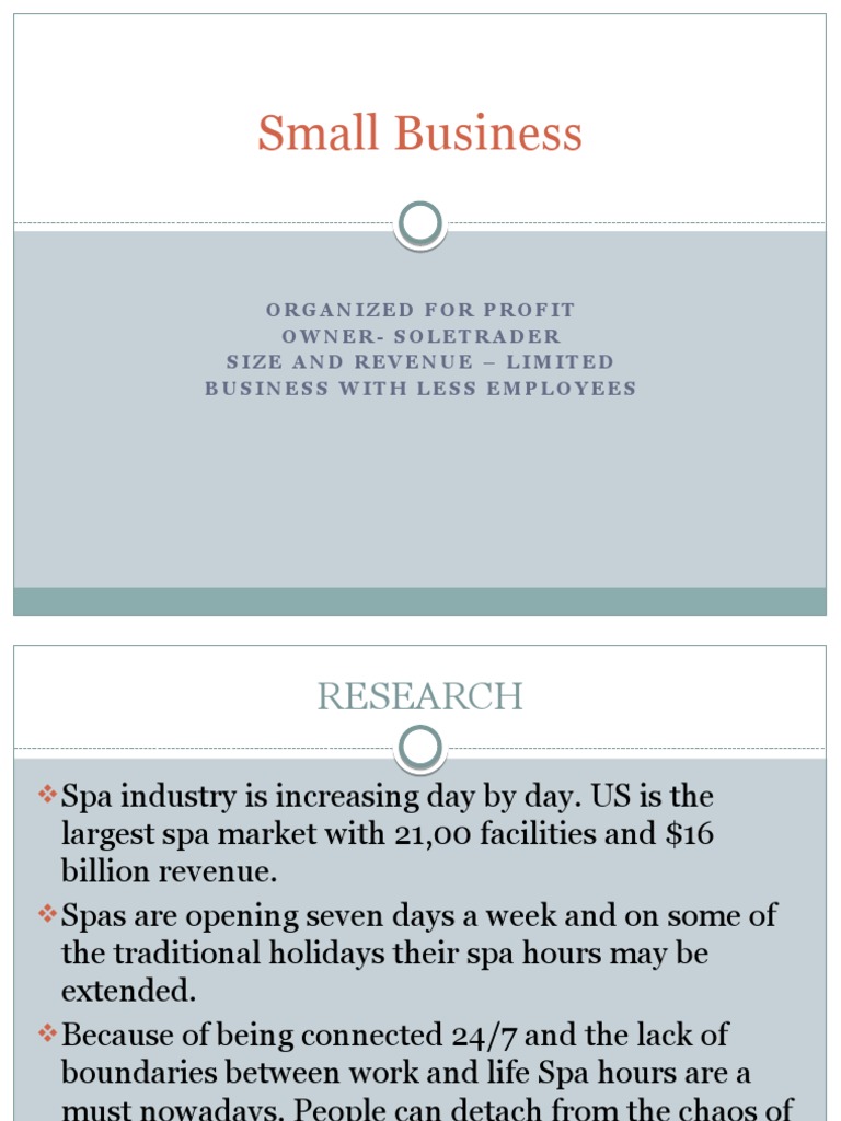 Small Business Presentation 1 | PDF