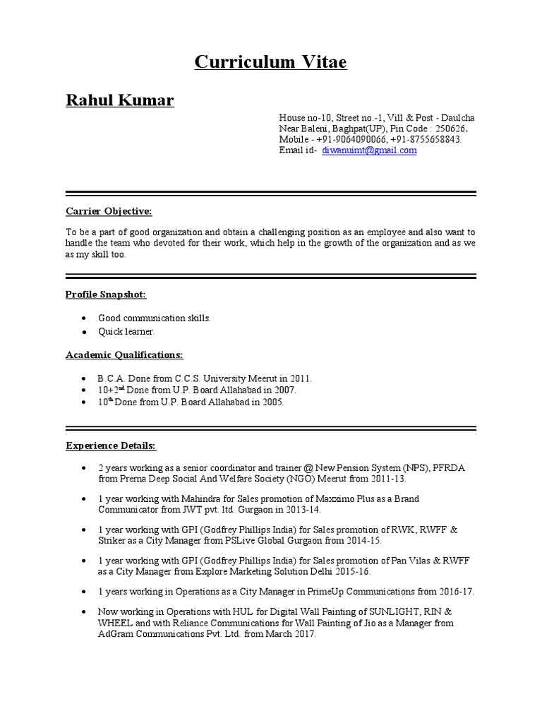 A Comprehensive Curriculum Vitae Highlighting Rahul Kumar's Educational Qualifications ...