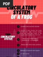 Gummy Bear Lab | PDF | Anatomical Terms Of Location | Animal Physiology