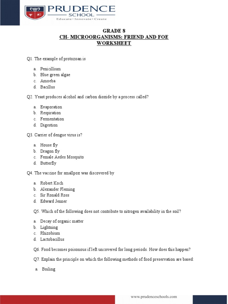 Grade 8 Ch-Microorganisms: Friend and Foe Worksheet | PDF | Science ...