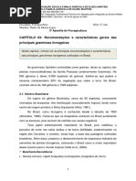 Capim-Buffel: Características e Cultivo | PDF | Brasil | Plantas