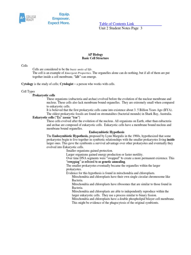 AP Biology Cell Structure and Membrane Transport Notes | PDF ...