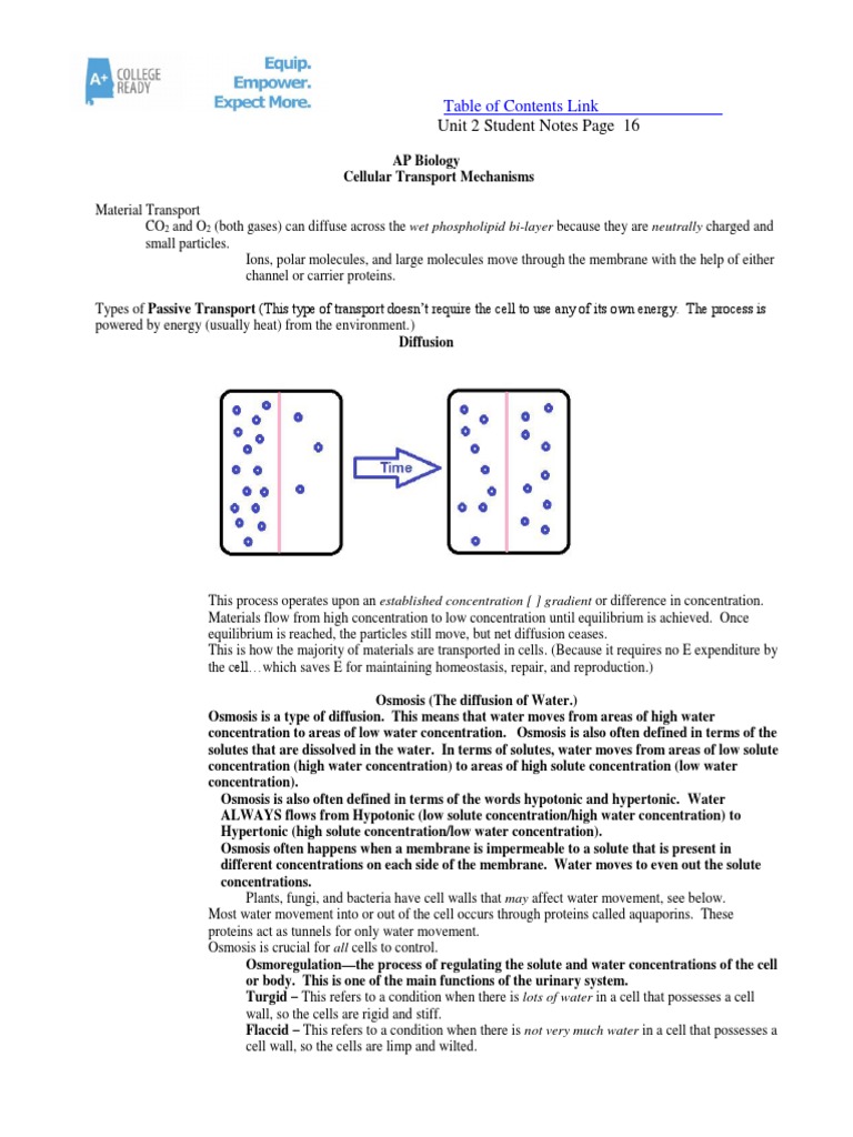 Cellular Transport Mechanisms: An Overview of Passive and Active ...