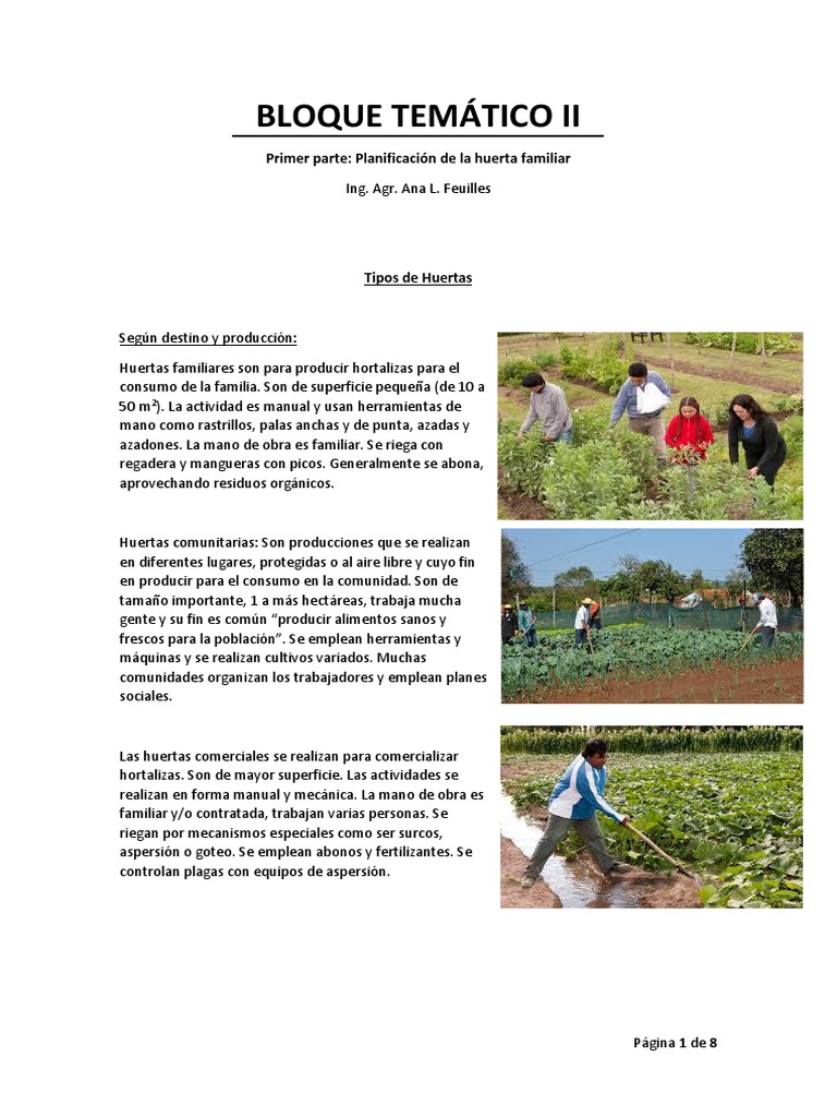 BLOQUE TEM TICO II Primera Parte PDF | PDF | Huerta | Riego