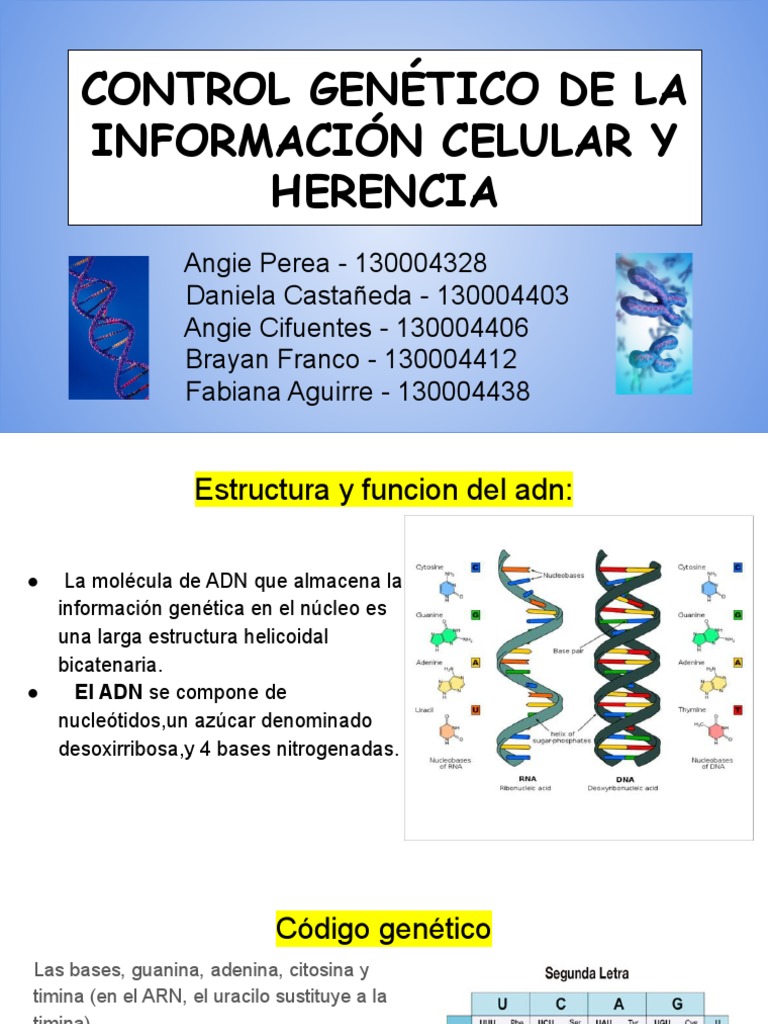 Control Genético Celular y Herencia | PDF | Rna | Adn
