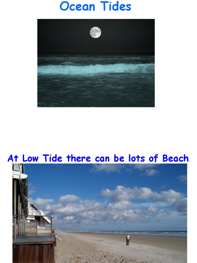 Understanding High and Low Tides | PDF | Tide | Gravity