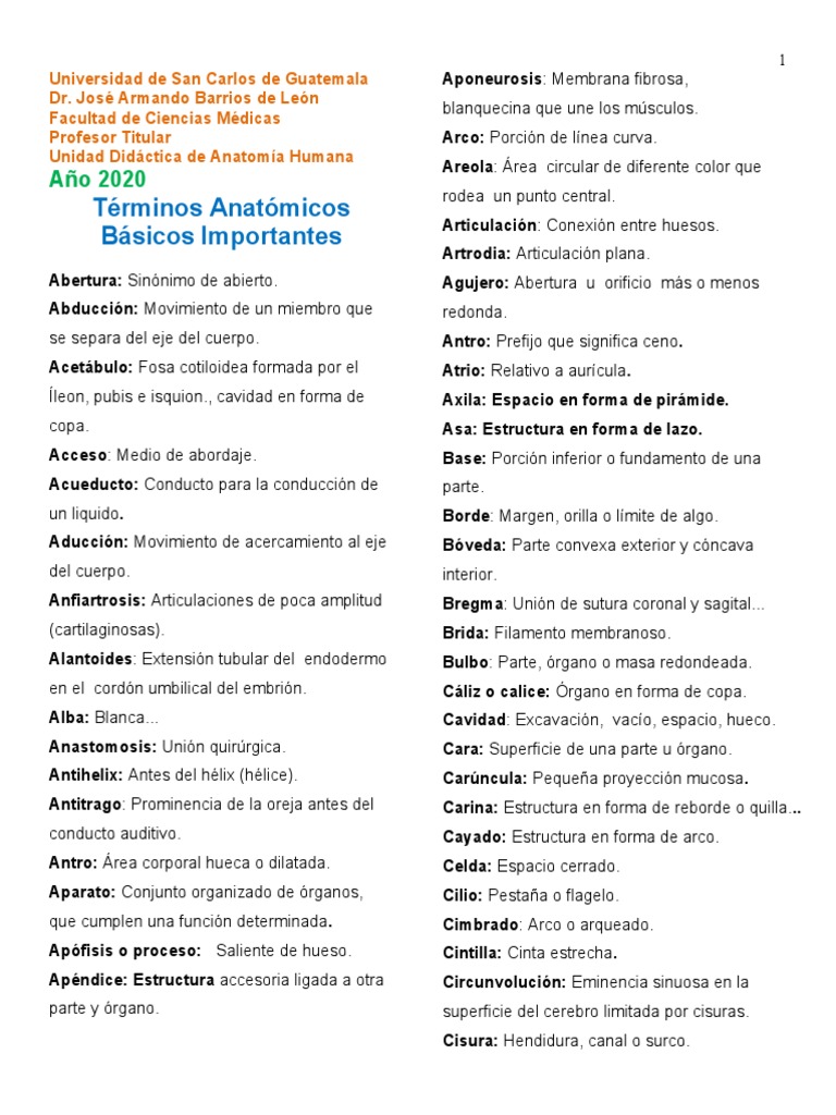 Lista De Terminología Anatómica Clases Personalizadas: Anatomía
