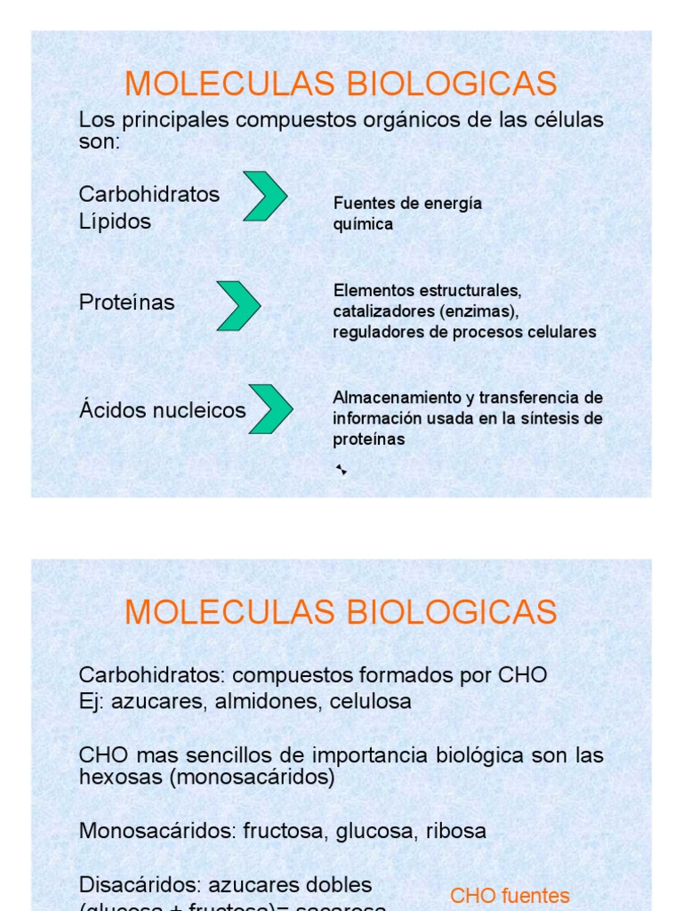 Introducción a Moléculas Biológicas | PDF | Propiedades del agua ...