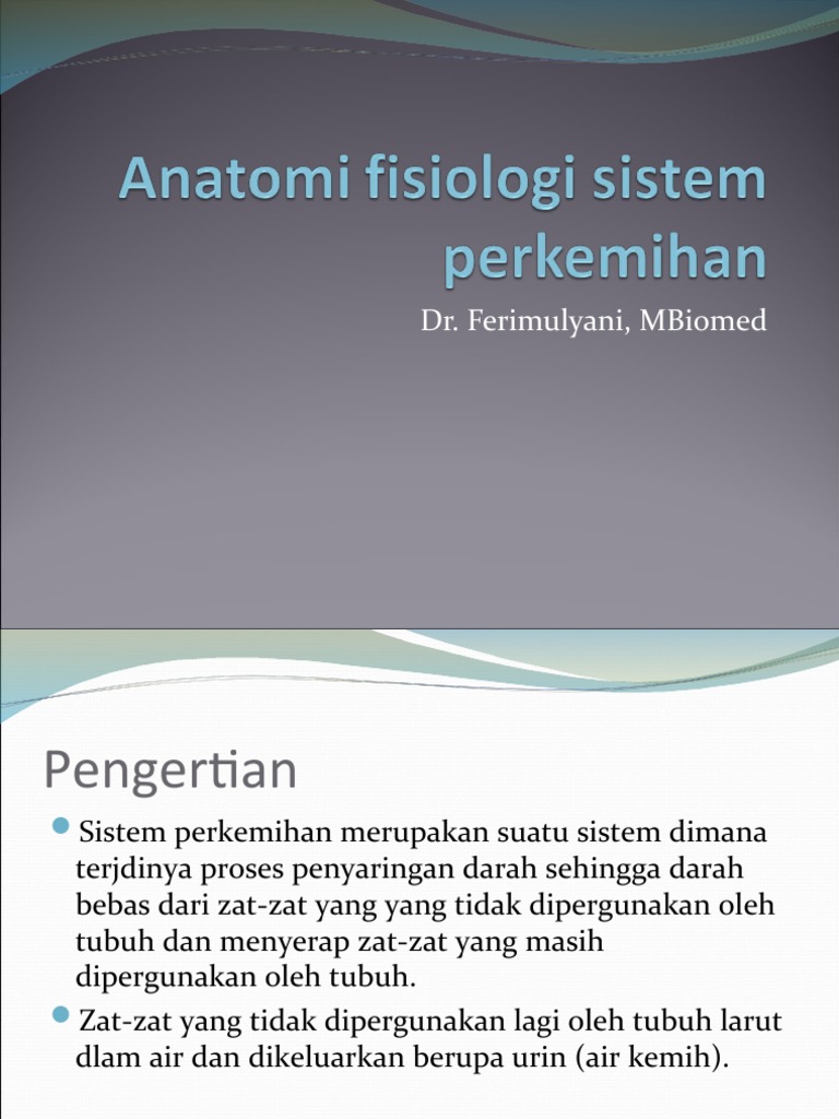 Anatomi Fisiologi Sistem Perkemihan | PDF