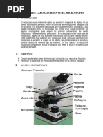 Conclusiones sobre el uso del microscopio | PDF | Microscopio | Óptica
