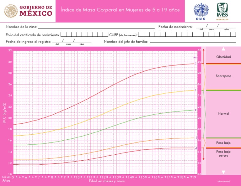 IMC Mujeres-2019 PDF | PDF | Índice de masa corporal | Obesidad