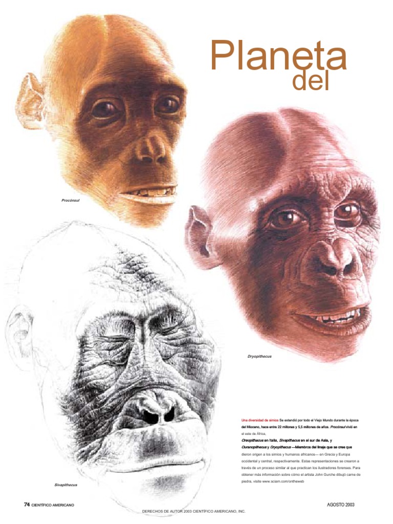 Planeta de Los Simios Traducido | PDF | Hominidae | Orangután