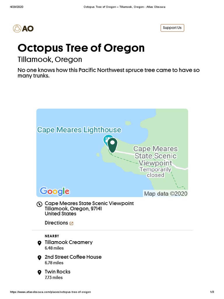 Octopus Tree of Oregon - Tillamook, Oregon - Atlas Obscura | PDF ...