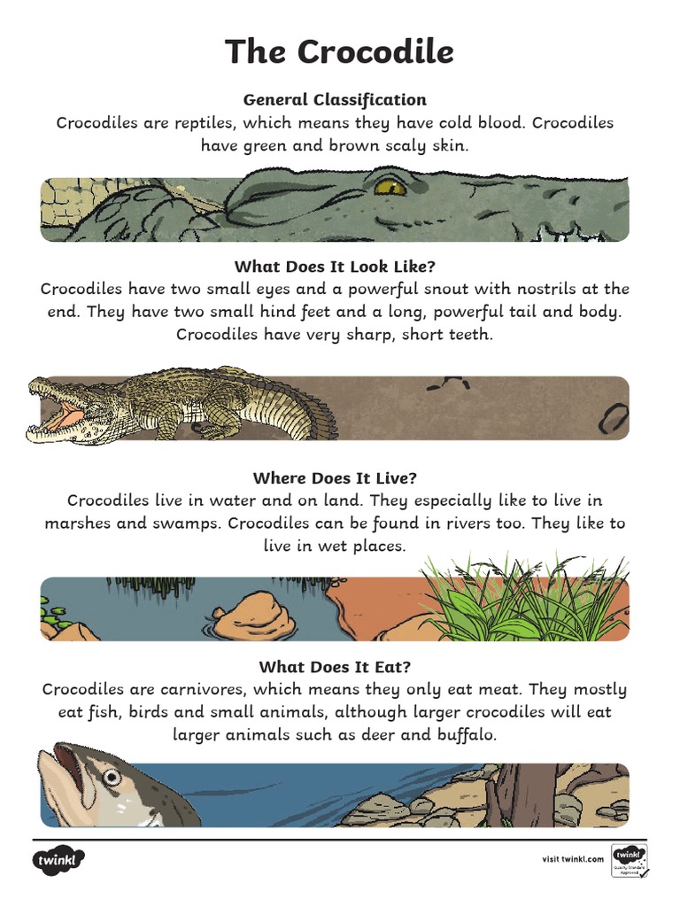 Crocodile Facts for Kids | PDF