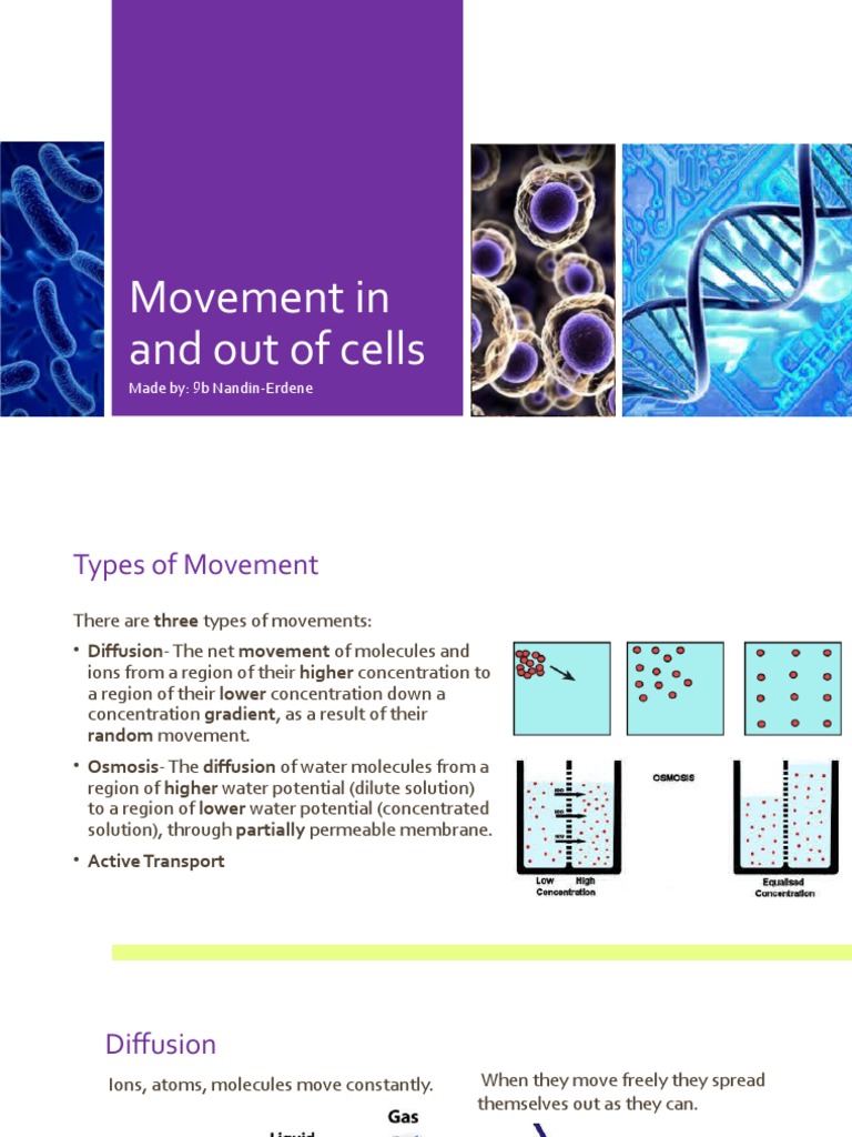 Movement in and Out of Cells | PDF | Science & Mathematics