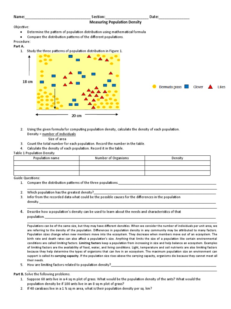 Population Density Activity Download Free Pdf Density Population