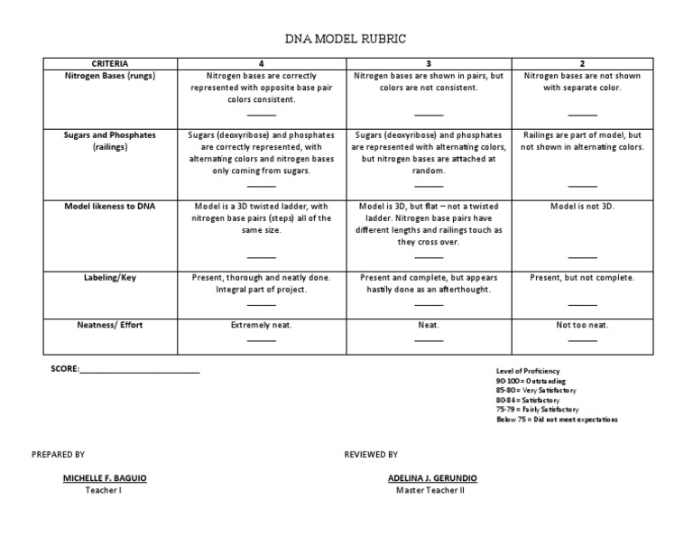 Dna Model Rubric | PDF | Nucleotides | Organic Compounds
