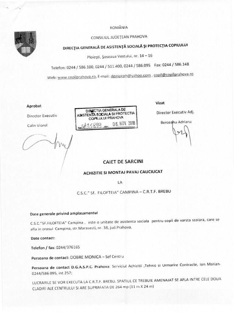 Caiet de Sarcini Achizitie Pavaj Cauciucat CRTF Brebu | PDF