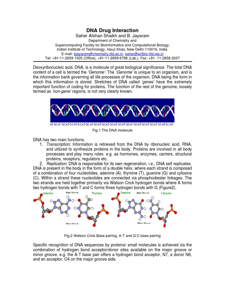 DNA Drug Interaction: Saher Afshan Shaikh and B. Jayaram | PDF ...