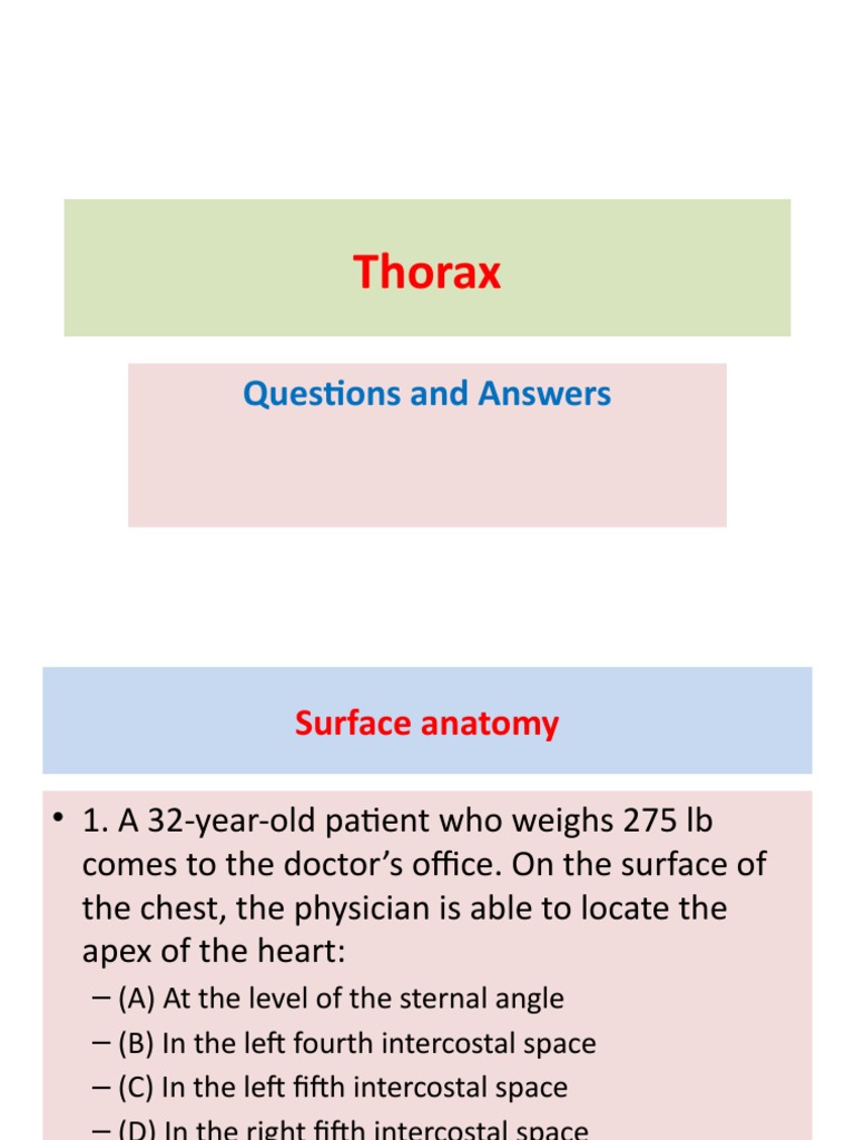 Thorax Question Samples For PC1 | PDF | Neuroanatomy | Thorax (Human ...