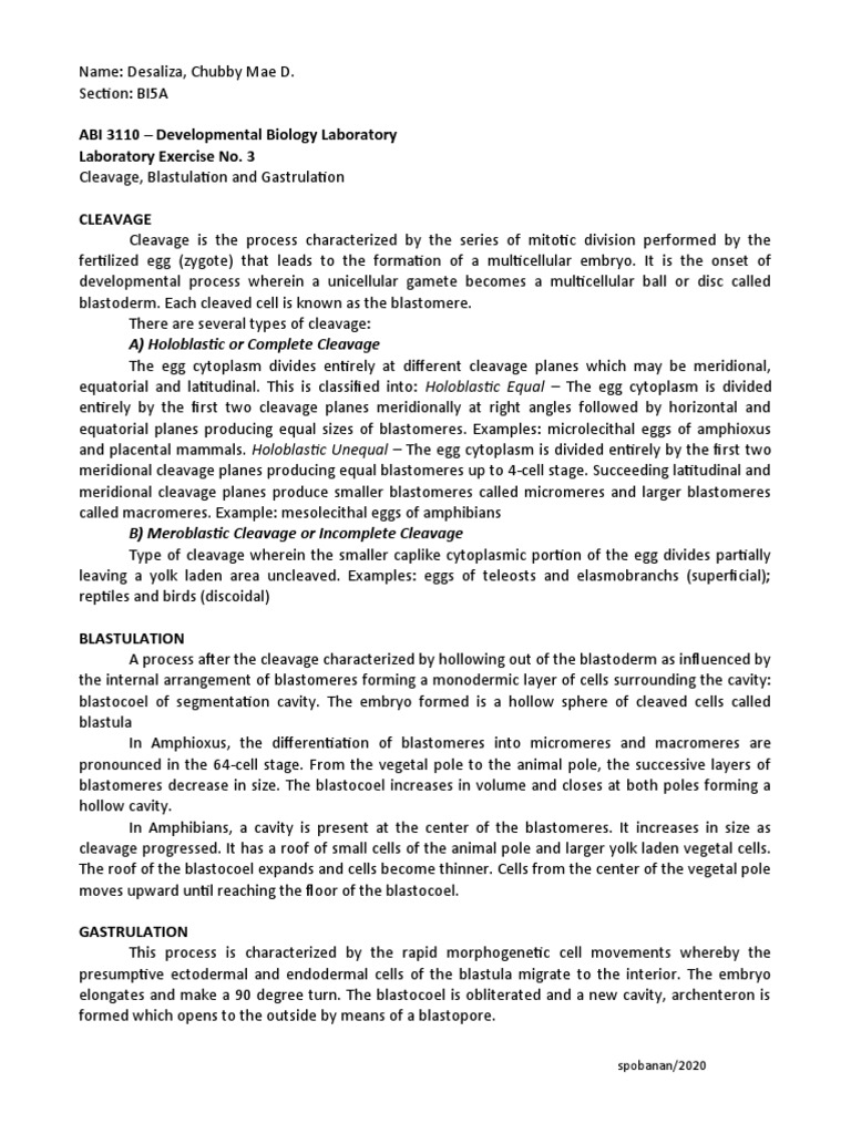 Blastula and Gastrula Development Stages | PDF | Embryo | Developmental ...