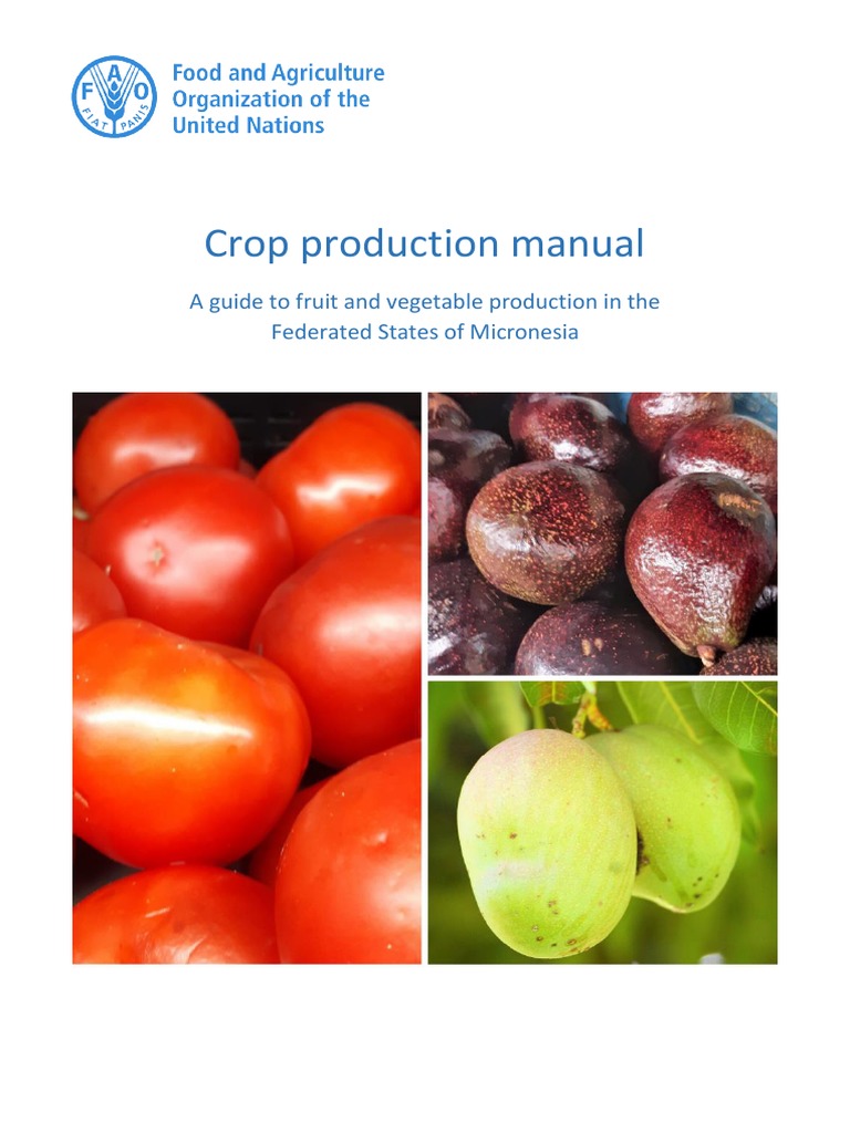 Crop Production Manual: A Guide To Fruit and Vegetable Production in ...