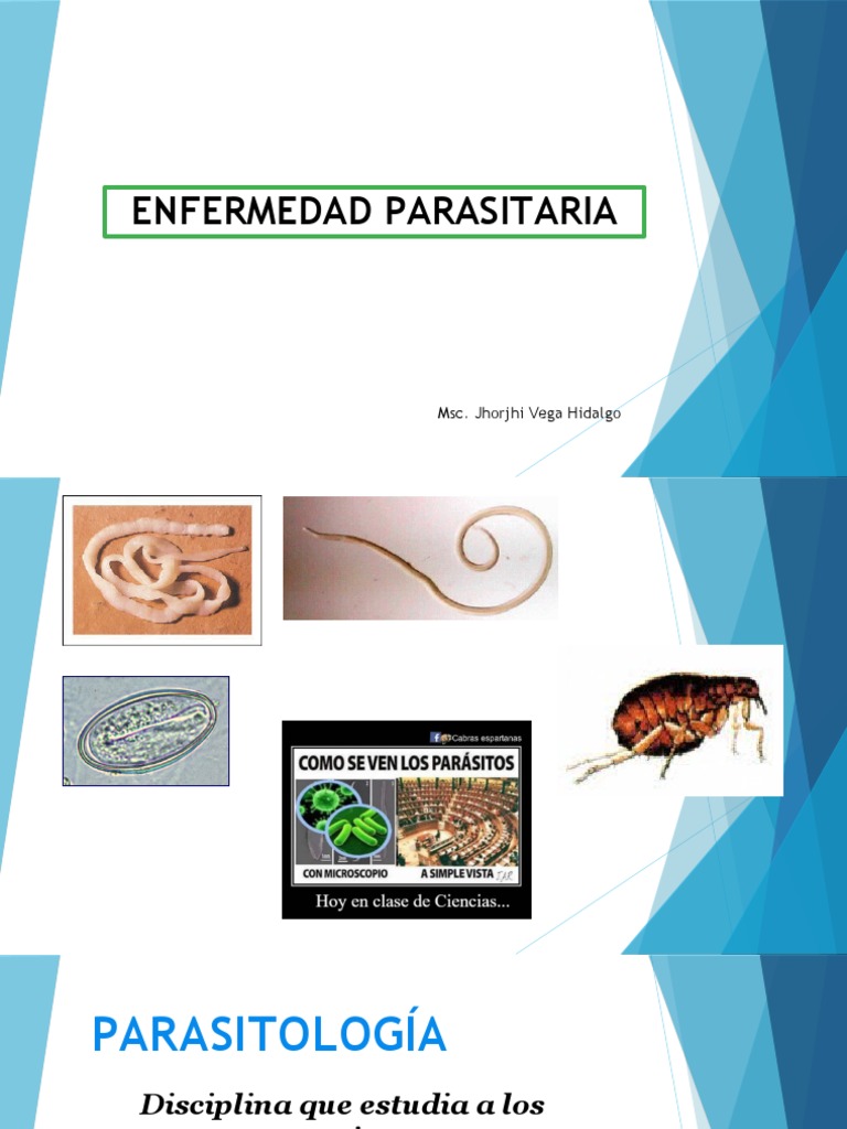 Enfermedades Parasitarias | PDF | Parasitismo | Parásitos