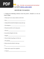 Descriptive Words for Hair Types | PDF | Hair | Afro