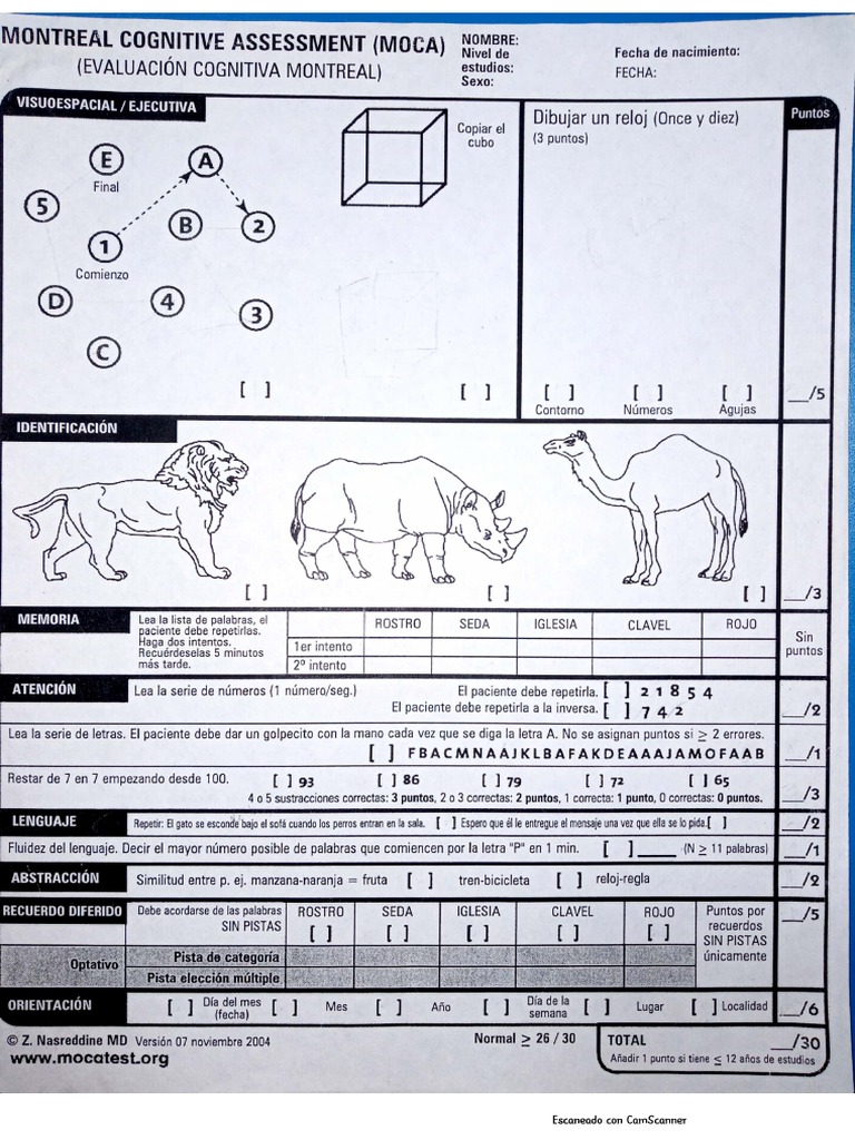 Prueba Moca PDF | PDF