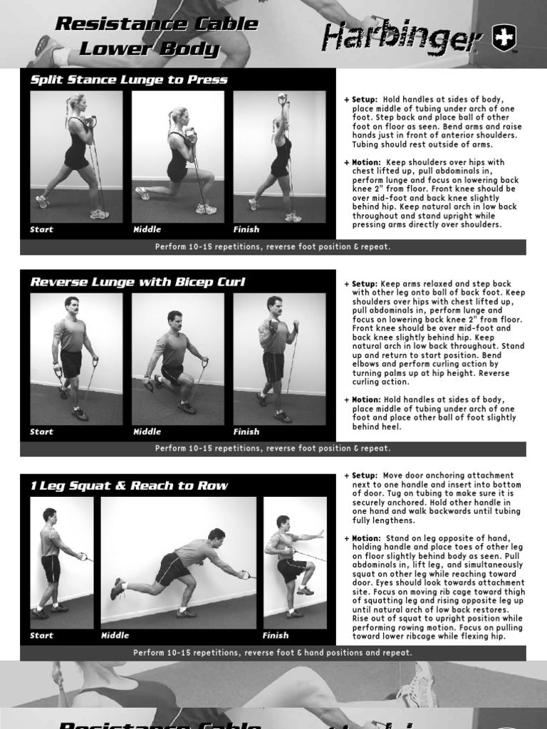 Cables Training Guide | PDF | Anatomical Terms Of Motion | Elbow