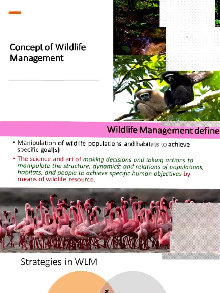 Principles of Wildlift Management (Lec 2) | PDF | Wildlife | Habitat
