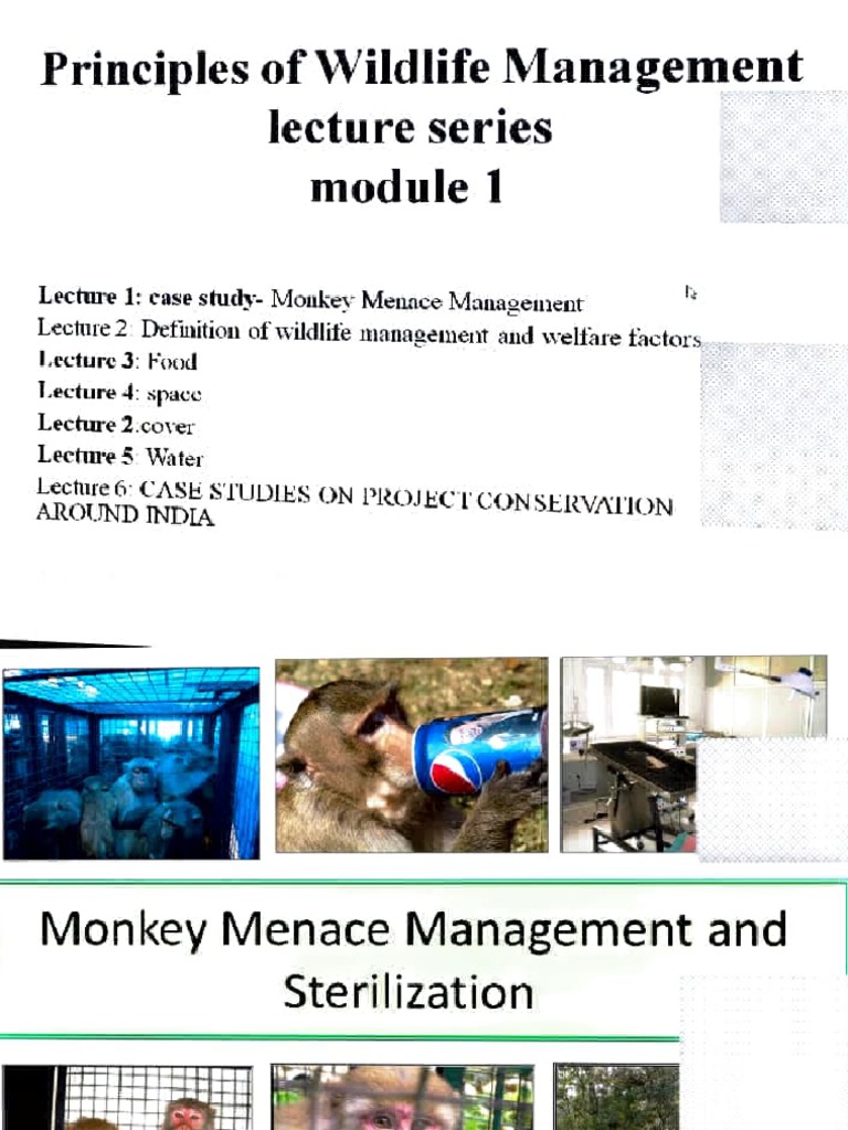 Wildlife Management Principles and Strategies | PDF | Organisms | Nature