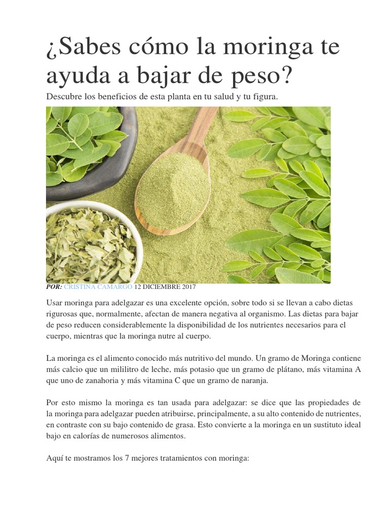La Moringa Para Bajar De Peso Pdf Nutrientes Té