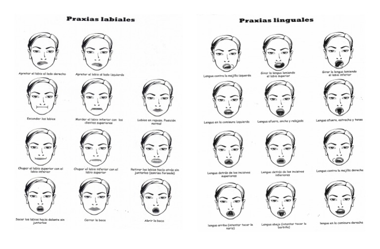 Praxias Kinder Labiales y Linguales | PDF