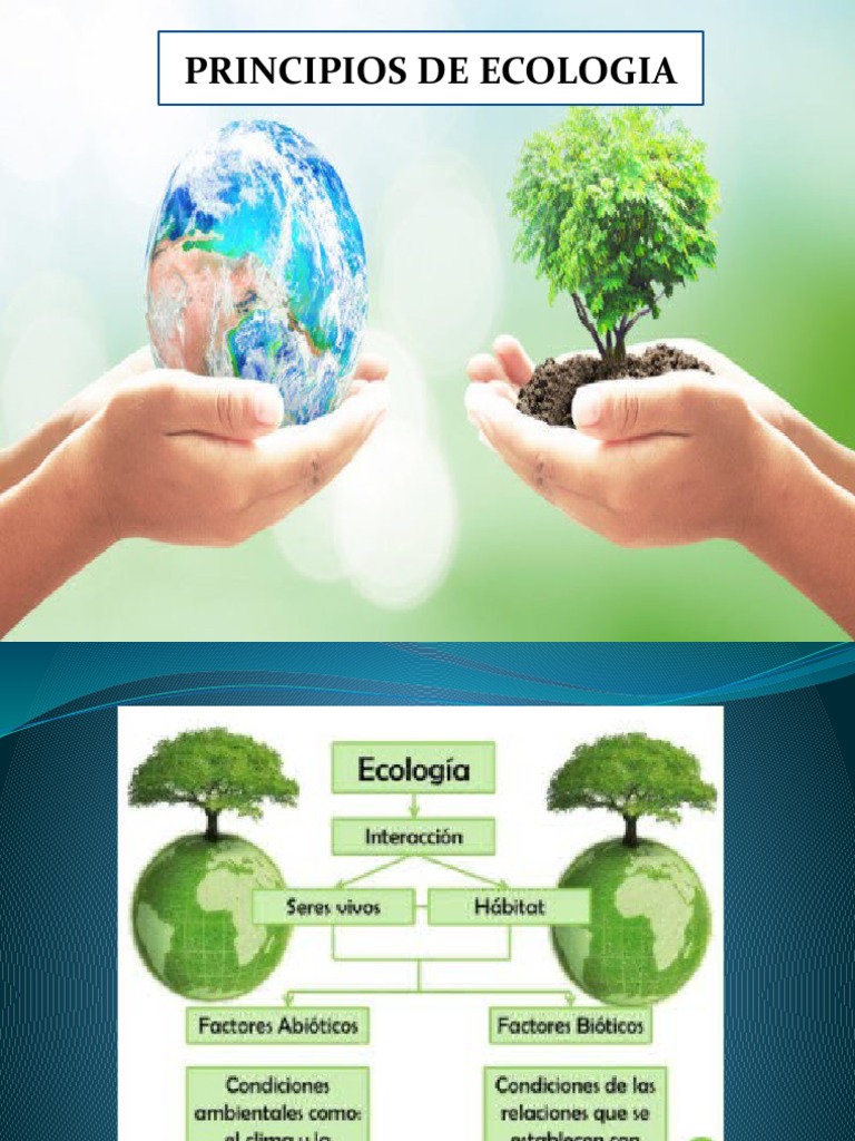 Los Ecosistemas PRESENTACION 1 | PDF