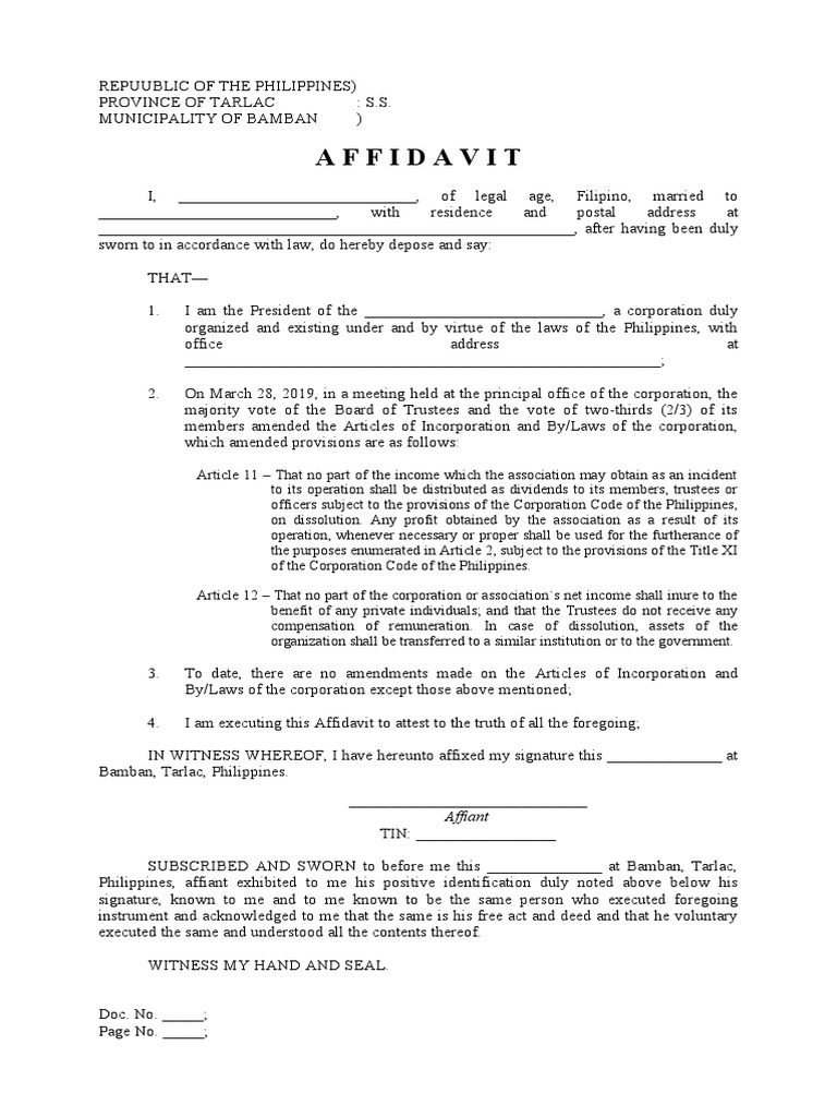 AFFIDAIVT | PDF | Affidavit | Legal Documents