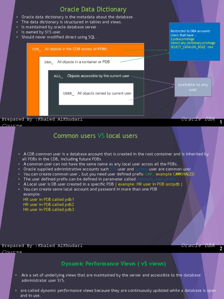 Oracle Data Dictionary | PDF | Databases | Data Management Software